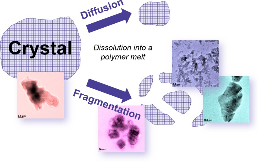 CPPR Student Moseson Publishes CPPR Project | Kildsig CPPR