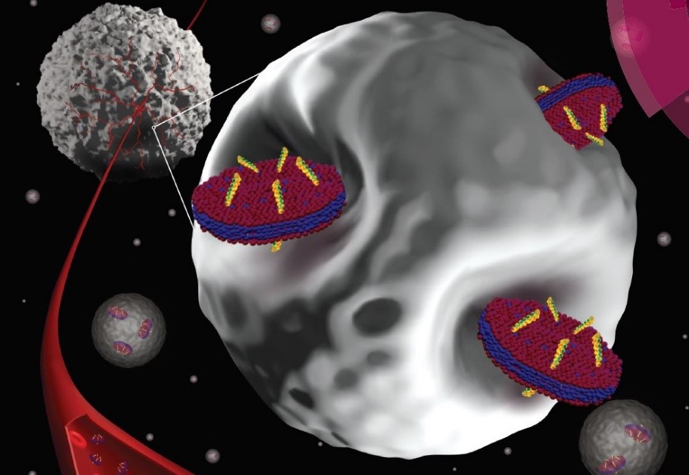 The journal, Nanoscale, features research findings of CPPR Faculty ...